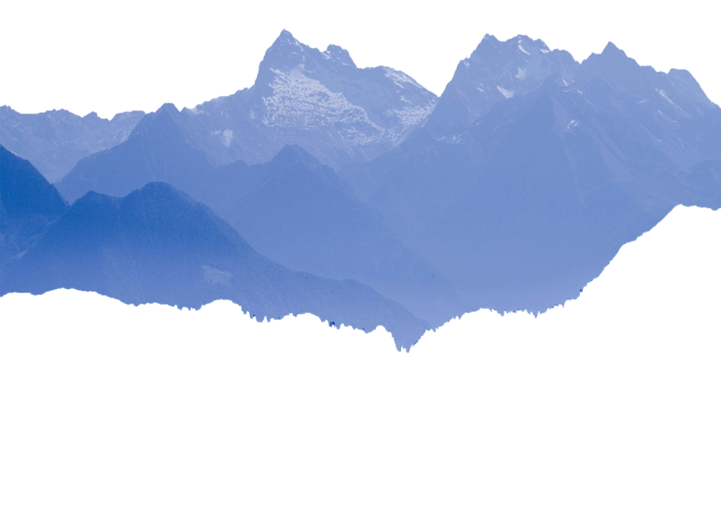 Animations and Effects | Nectarblocks